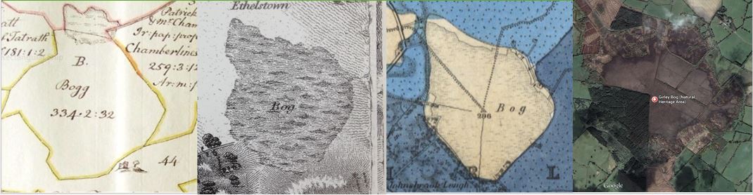 Timeline of Girley Bog History | A Bog's Life