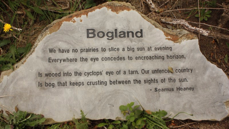 Peatlands and Poetry | A Bog's Life